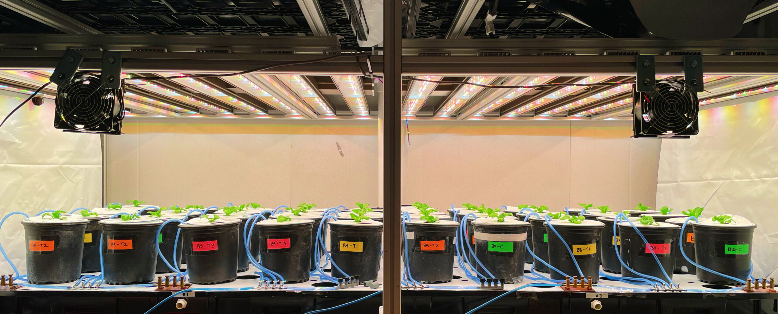Biostimulant allows local farmers to increase yields and lower ...